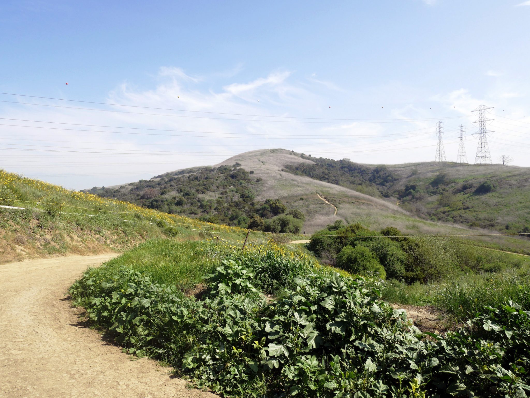 Hiking Through Powder Canyon Trailhead - Fullerton Observer