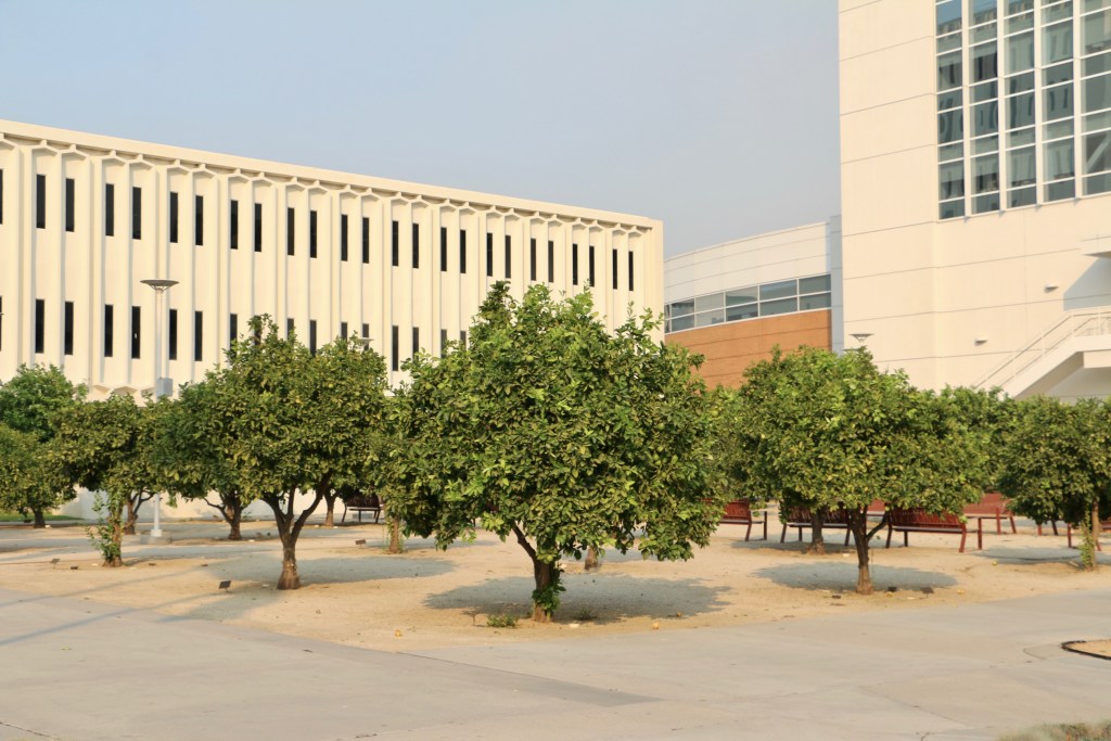 The Downtown Report: Early November Edition - Fullerton Observer