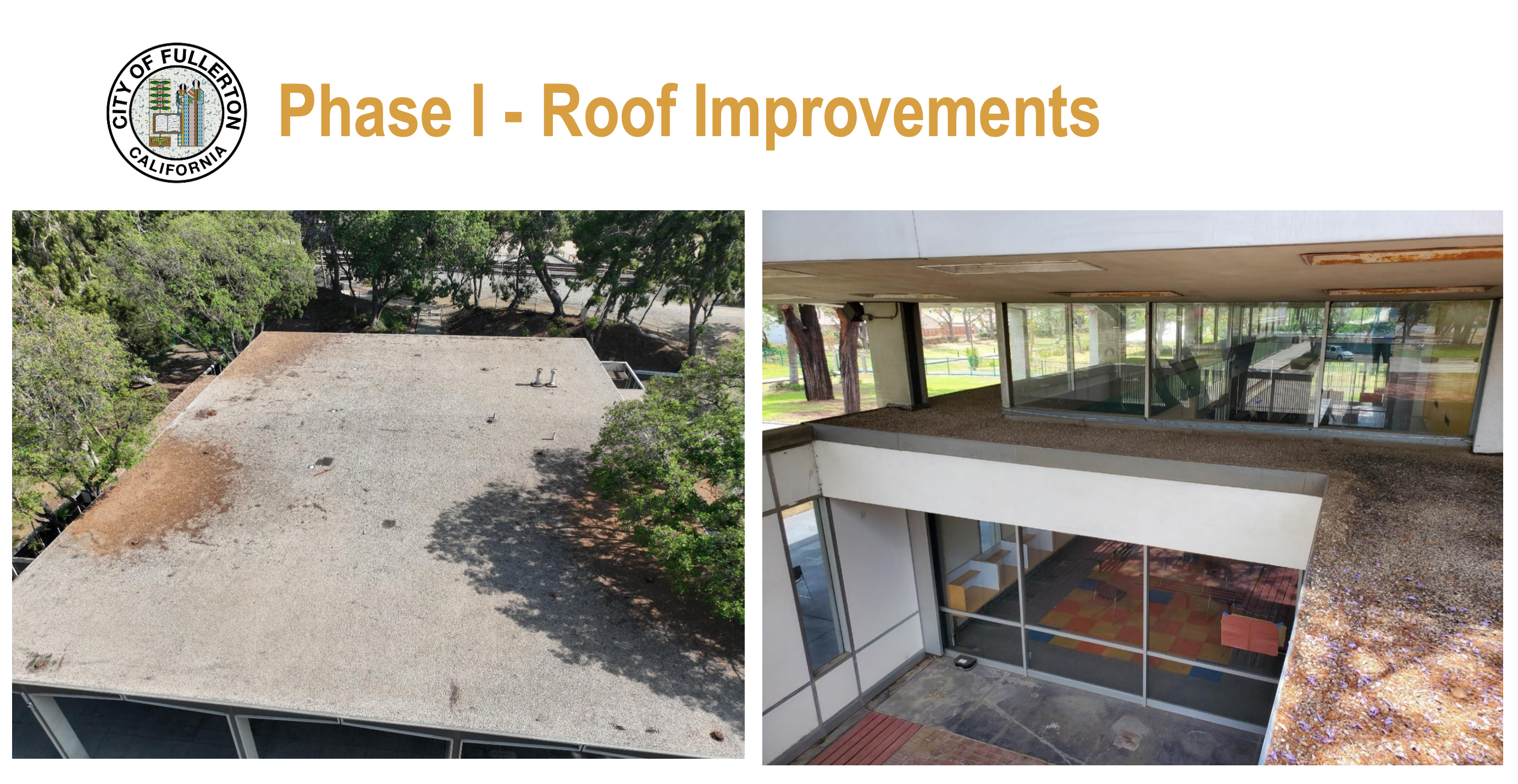 Council and Community Discuss Status and Future of Hunt Library ...