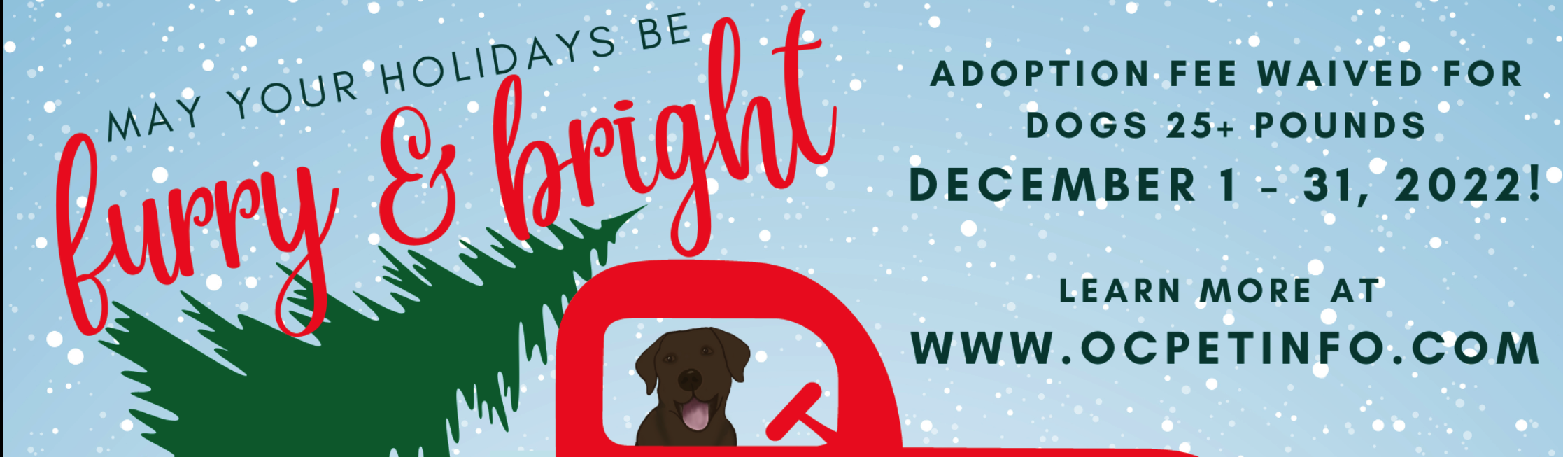 OC Animal Care has waived Adoption fees for dogs 25 pounds and over ...