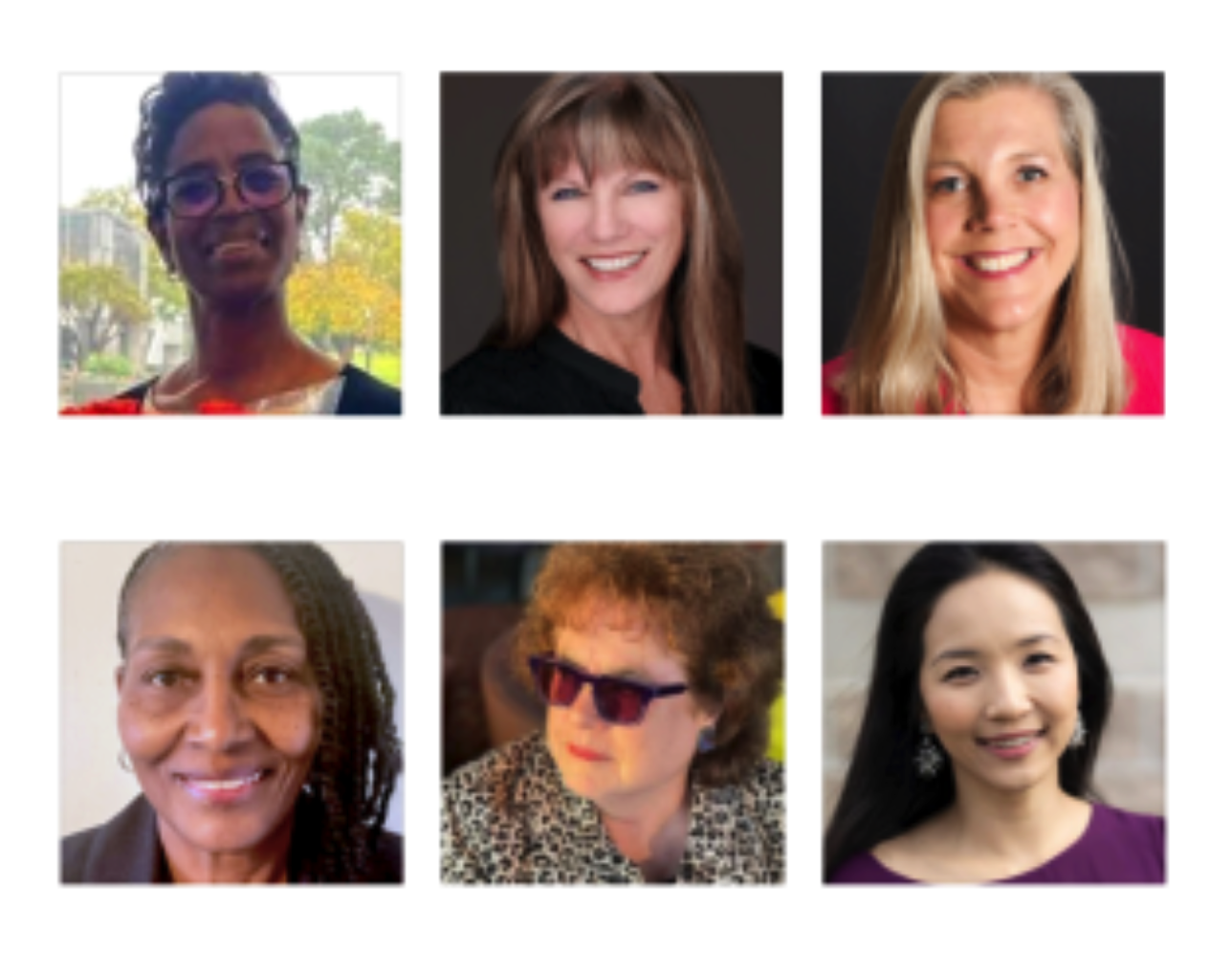 Senator Newman Presents Women of the Year Awards for Senate District 29 ...