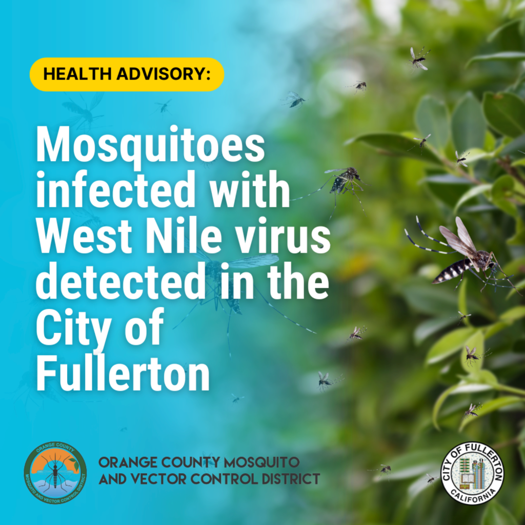 Mosquitoes infected with West Nile virus detected in the City of ...