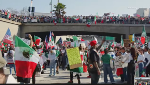 Thousands in LA Protest Trump & ICE - Fullerton Observer