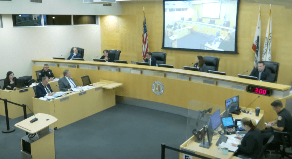 APPOINTMENTS & PUBLIC COMMENTS 3/4/25 - Fullerton Observer