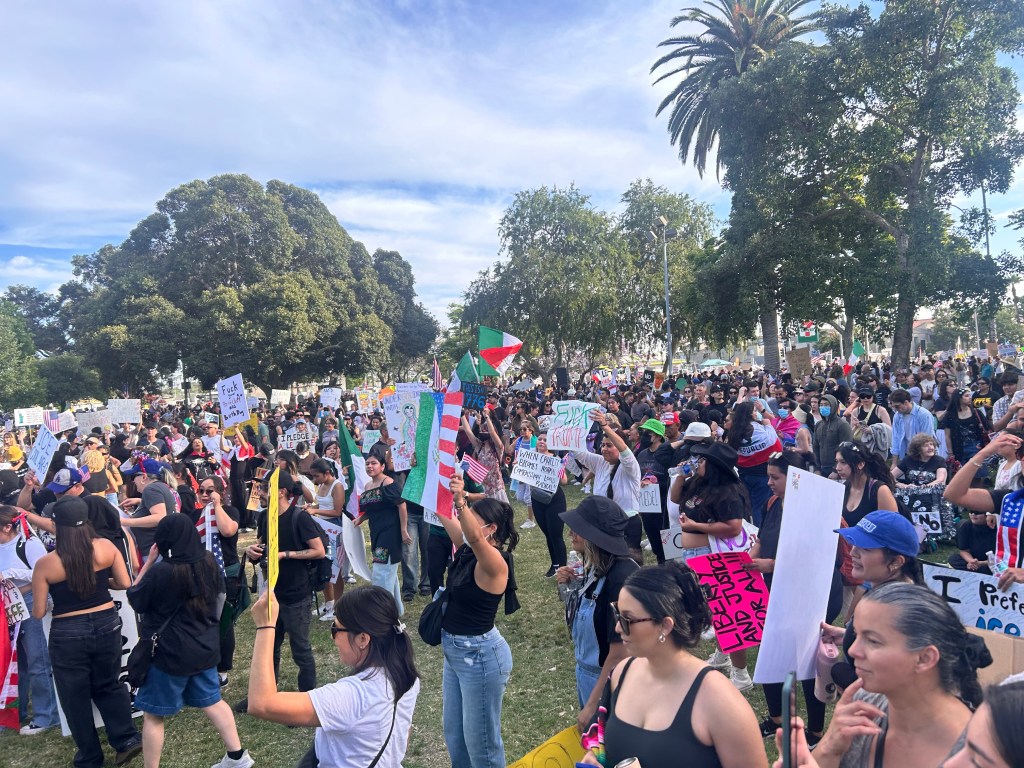 Photos: 'No Kings' Protest Draws Thousands of Orange County Residents ...