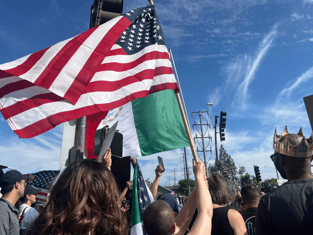 'No Kings OC' Protest Draws Large Crowd In Anaheim - Fullerton Observer