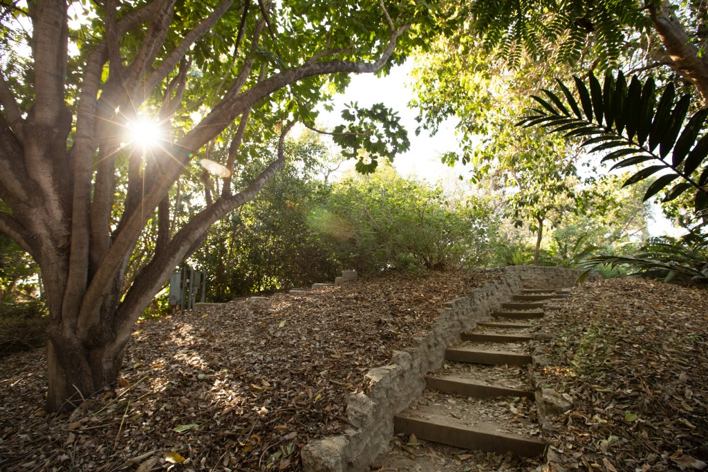 Discover Nature with a Visit to the Arboretum and Botanical Garden at ...